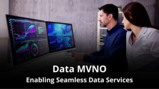 Data MVNOs - Enabling Seamless Data Service - MVNO Index