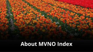 About - MVNO Index